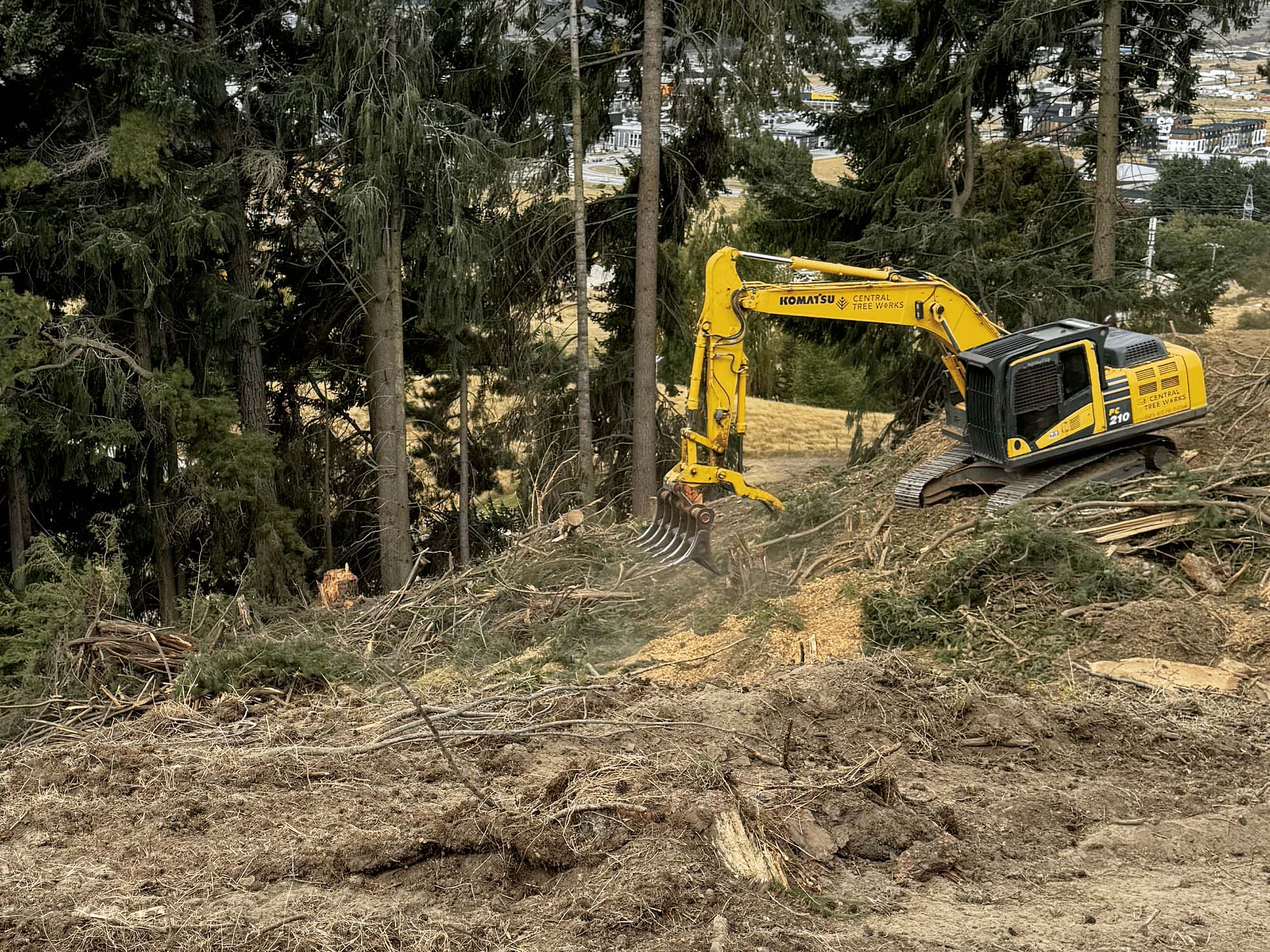 Central Tree works - Queenstown & Central Otago Tree Services